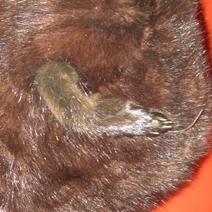 Antique | Accessories | Antique Mink Fur Hat With Claw Top | Poshmark